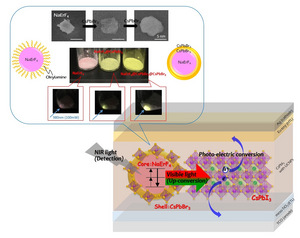 Novel near-infrared light detection method us | EurekAlert!