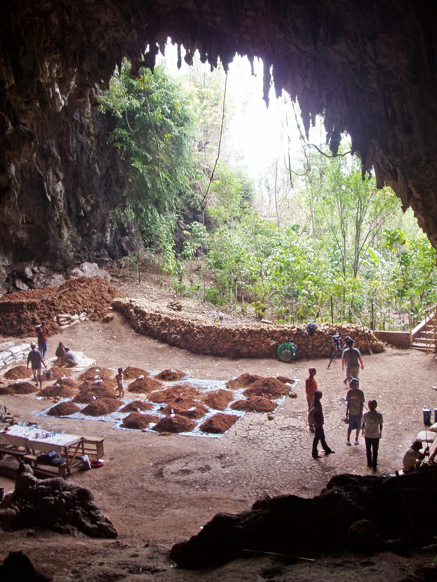 Hobbit Excavation Site [IMAGE] | EurekAlert! Science News Releases