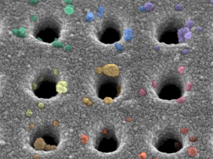 New Blood Test for Earlier Detection of Pancr | EurekAlert!