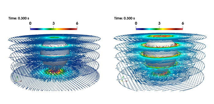 Visualisation of the simulatio [IMAGE] | EurekAlert! Science News Releases