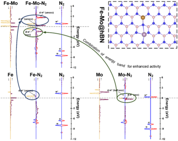 How the heterogeneous catalyst [IMAGE] | EurekAlert! Science News Releases