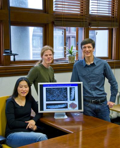 Ting Xu, Kari Thorkelsson and [IMAGE] | EurekAlert! Science News Releases
