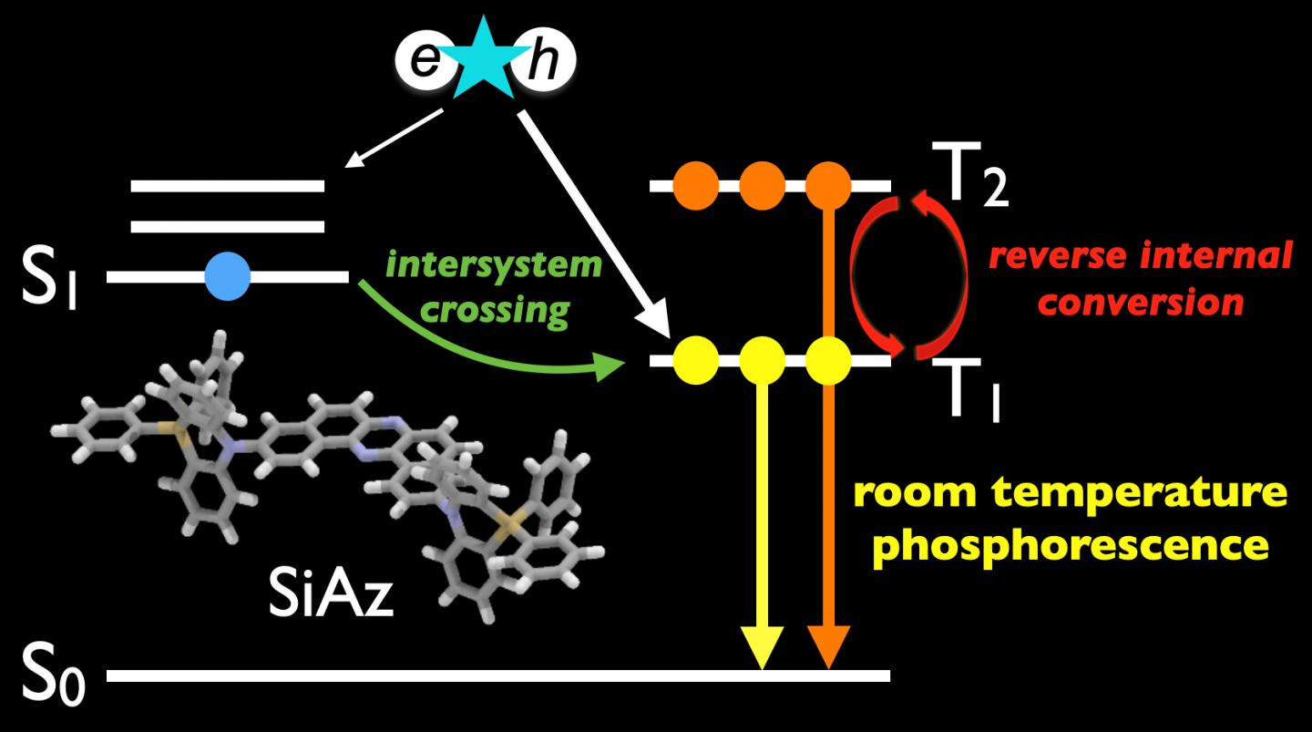 Figure 1. [IMAGE] | EurekAlert! Science News Releases
