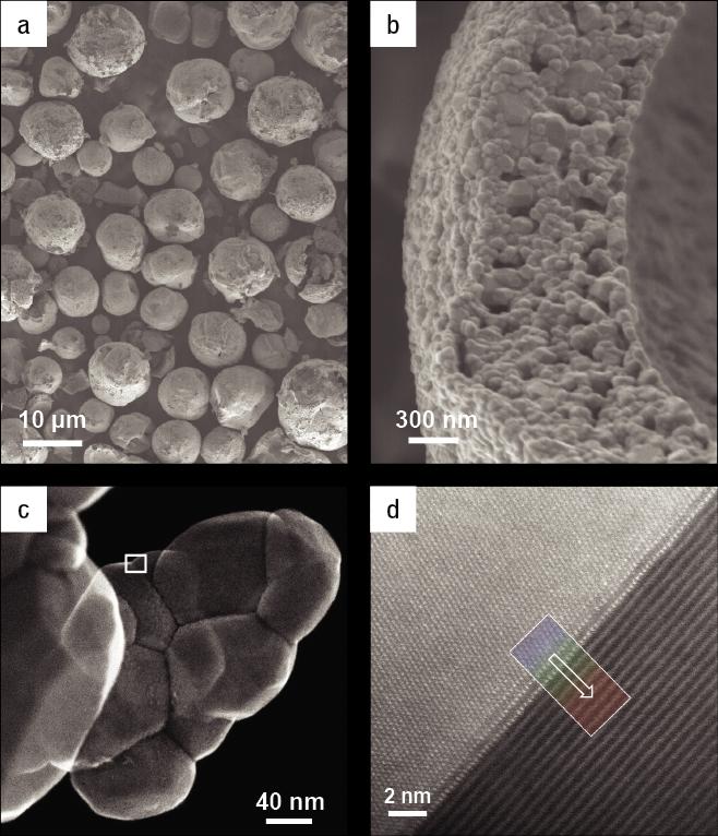 SEM Images of Battery Cathode [IMAGE] | EurekAlert! Science News Releases