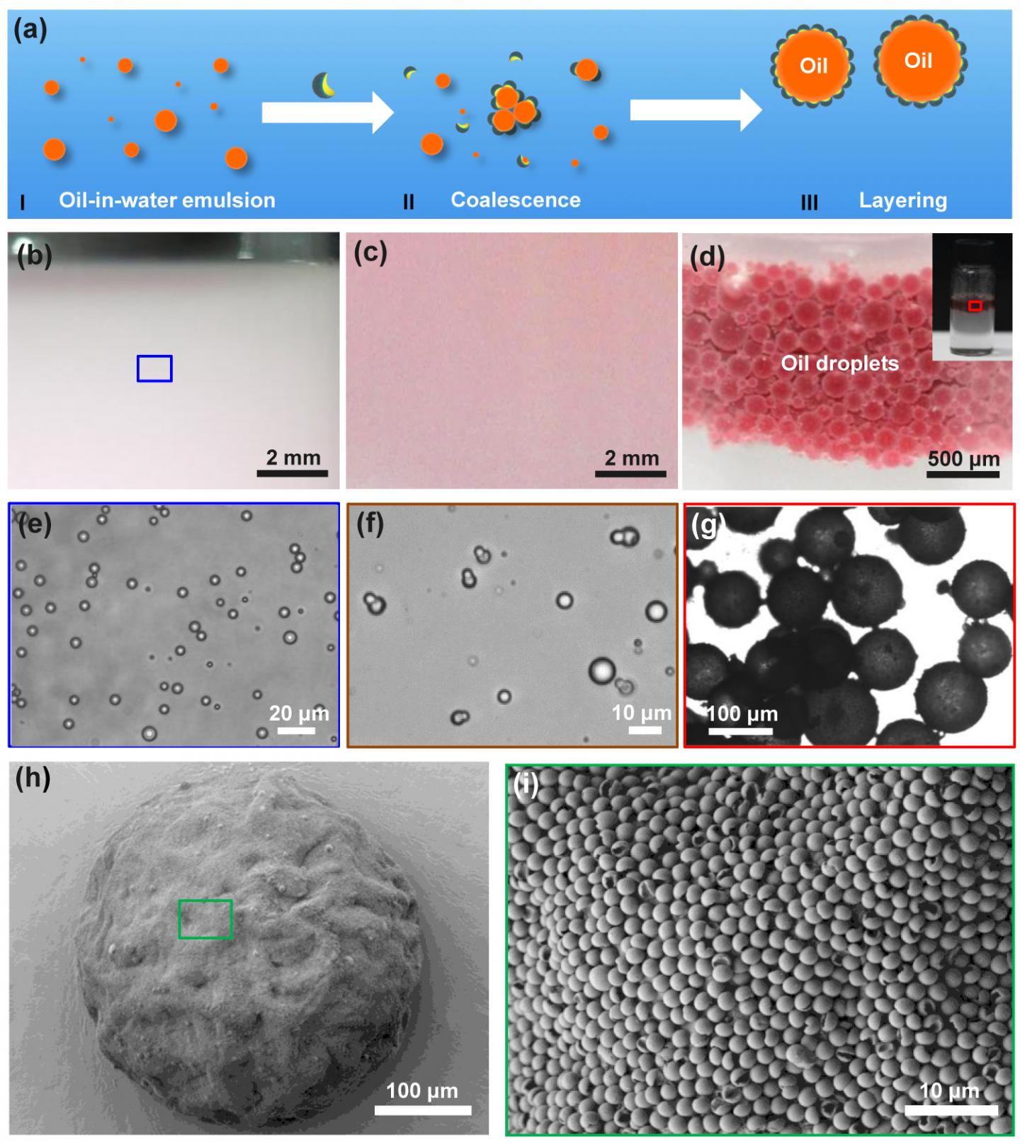 Rapid and efficient oil-water separation achi | EurekAlert!