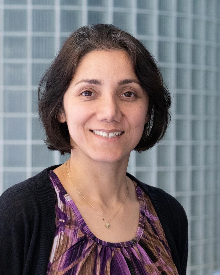 Mercedeh Khajavikhan, Universi [IMAGE] | EurekAlert! Science News Releases