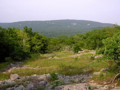 Ozark Glade [IMAGE] | EurekAlert! Science News Releases