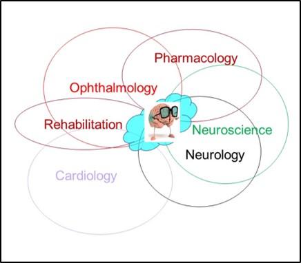 Vision Loss Is not only An Eye [IMAGE] | EurekAlert! Science News Releases