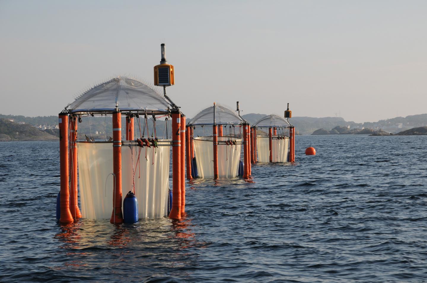 Is The Ocean More Resilient To Acidification Eurekalert