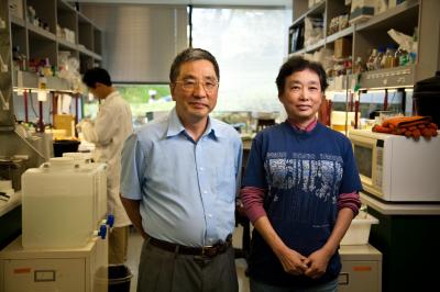 Minoru and Michiko Fukuda, San [IMAGE] | EurekAlert! Science News Releases