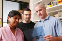 UT Southwestern scientists' findings may lead | EurekAlert!
