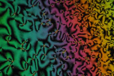 Zwitterionic Liquid Crystals [IMAGE] | EurekAlert! Science News Releases