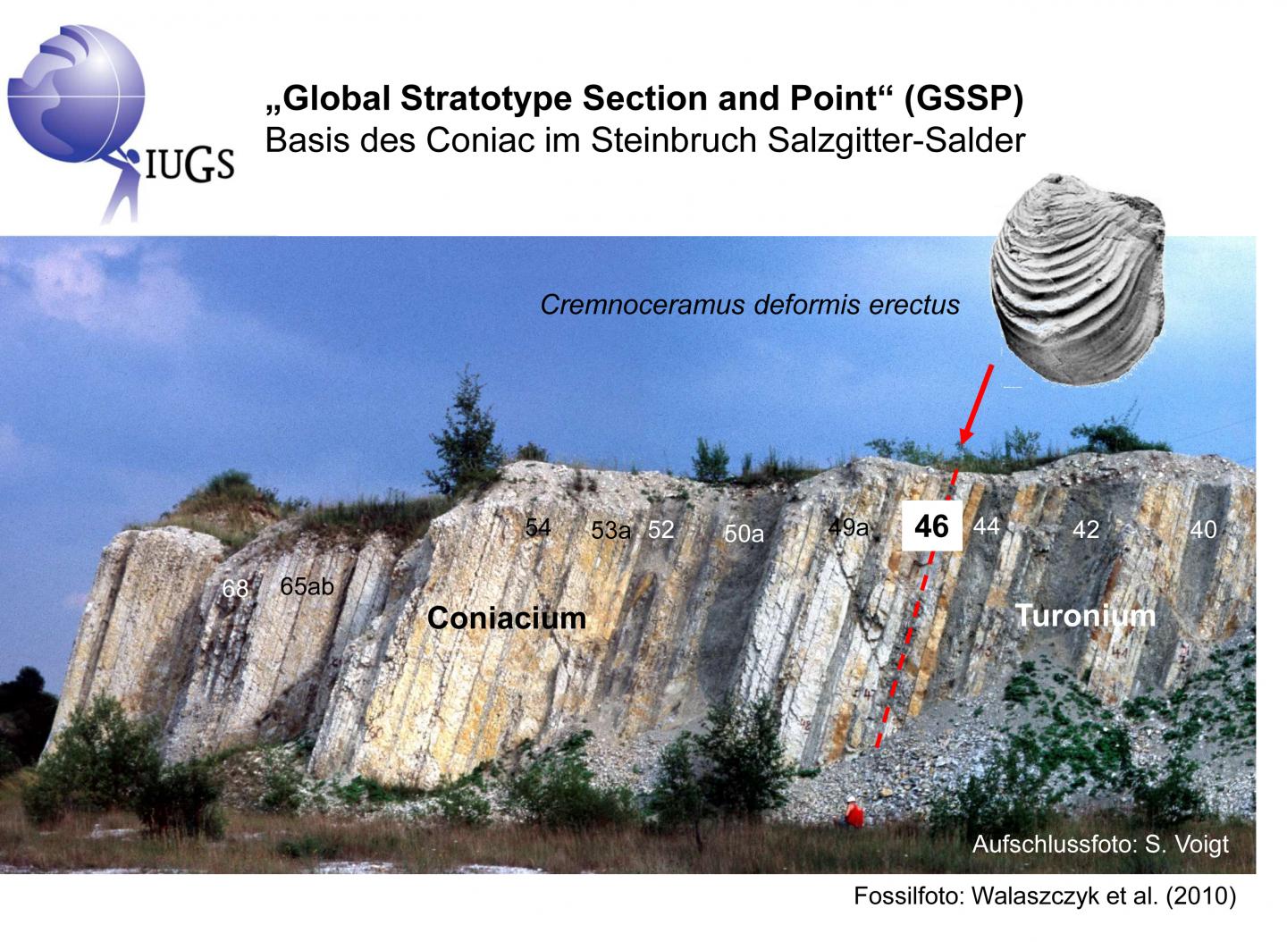 GSSP in Salzgitter-Salder [IMAGE] | EurekAlert! Science News Releases