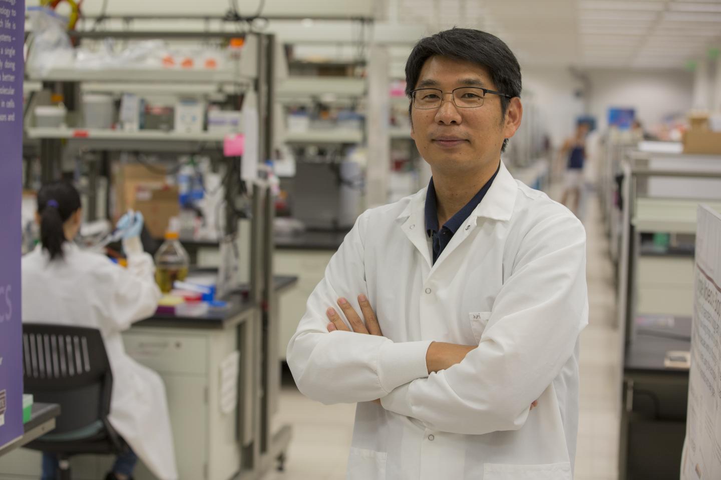 Hao Yan, Arizona State Univers [IMAGE] | EurekAlert! Science News Releases