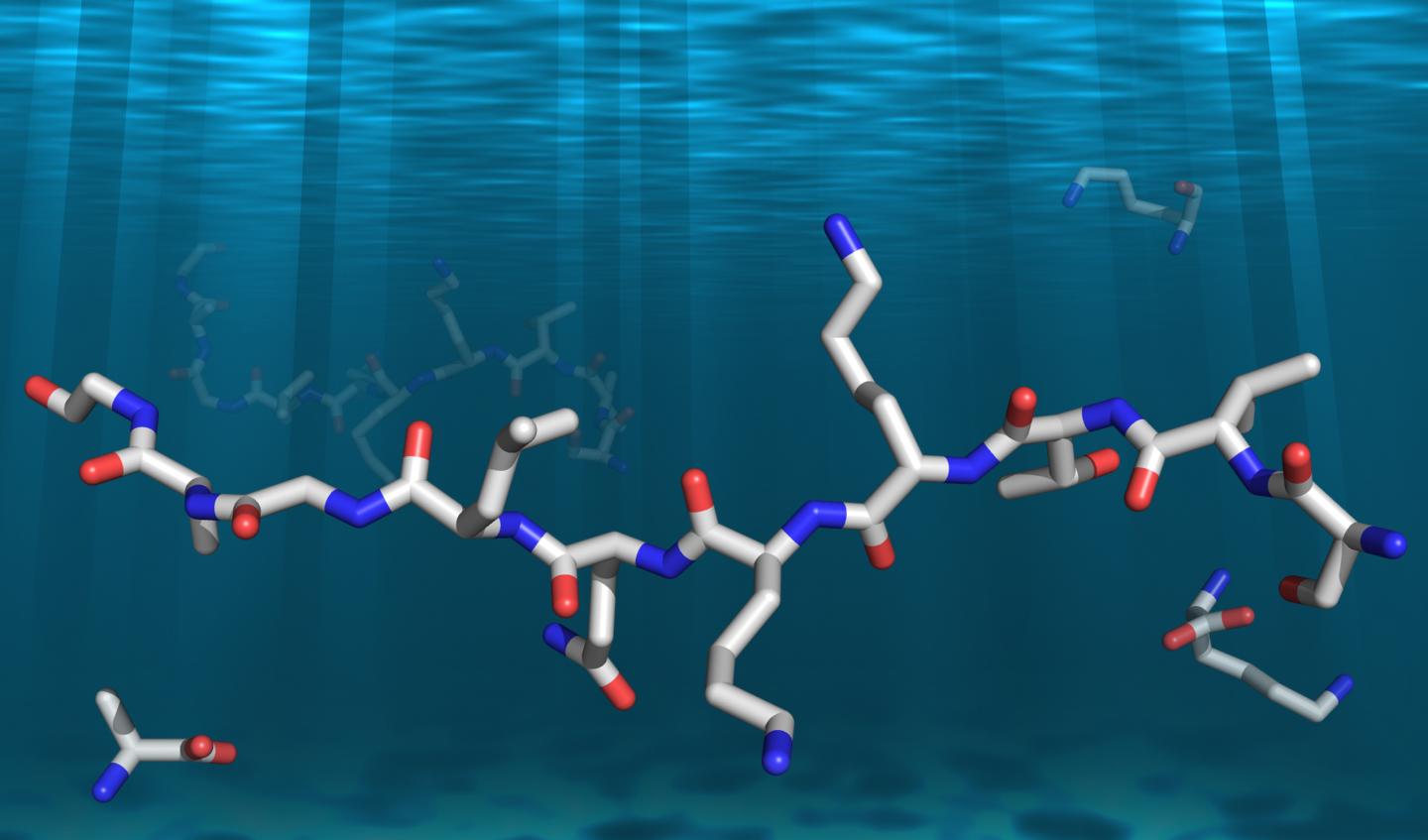 Proteinaceous Amino Acids More [IMAGE] | EurekAlert! Science News Releases