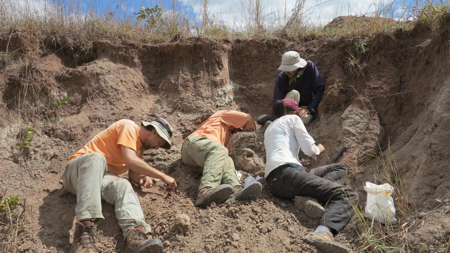 Scientists at Dig Site [IMAGE] | EurekAlert! Science News Releases