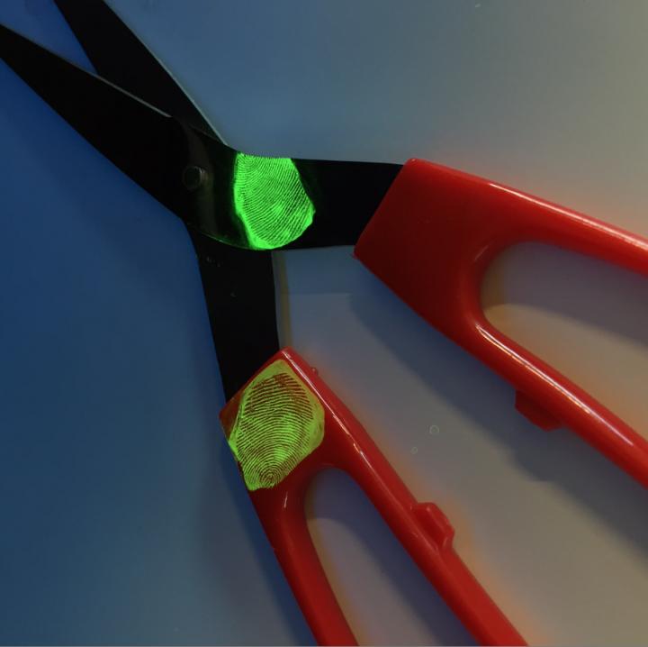 Fingerprints on Scissors [IMAGE] | EurekAlert! Science News Releases