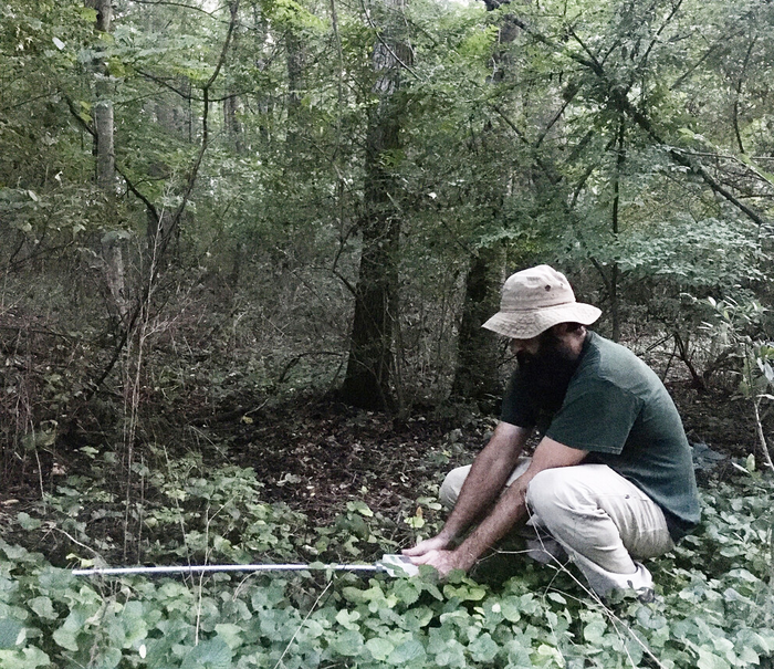 ceptometer [IMAGE] | EurekAlert! Science News Releases