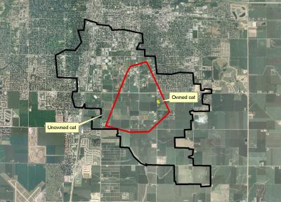 Cat Range Map [IMAGE] | EurekAlert! Science News Releases