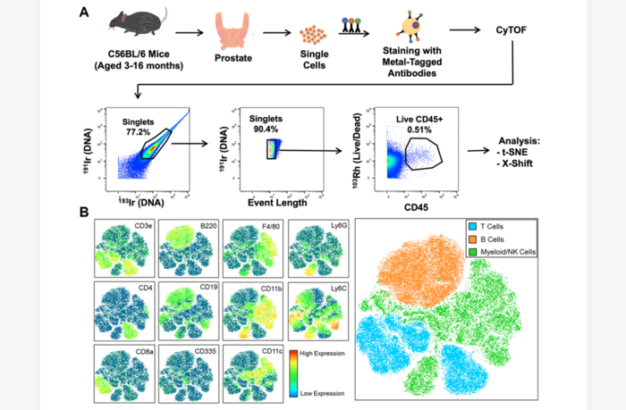 Figure 1 [IMAGE] | EurekAlert! Science News Releases