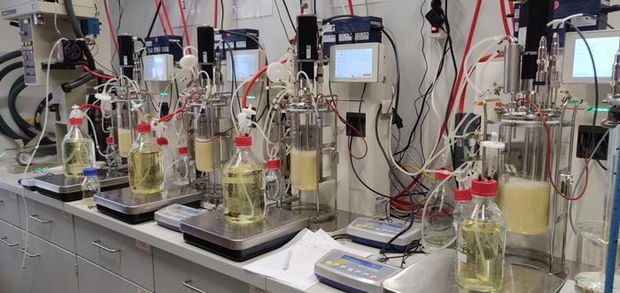 Biolab [IMAGE] | EurekAlert! Science News Releases