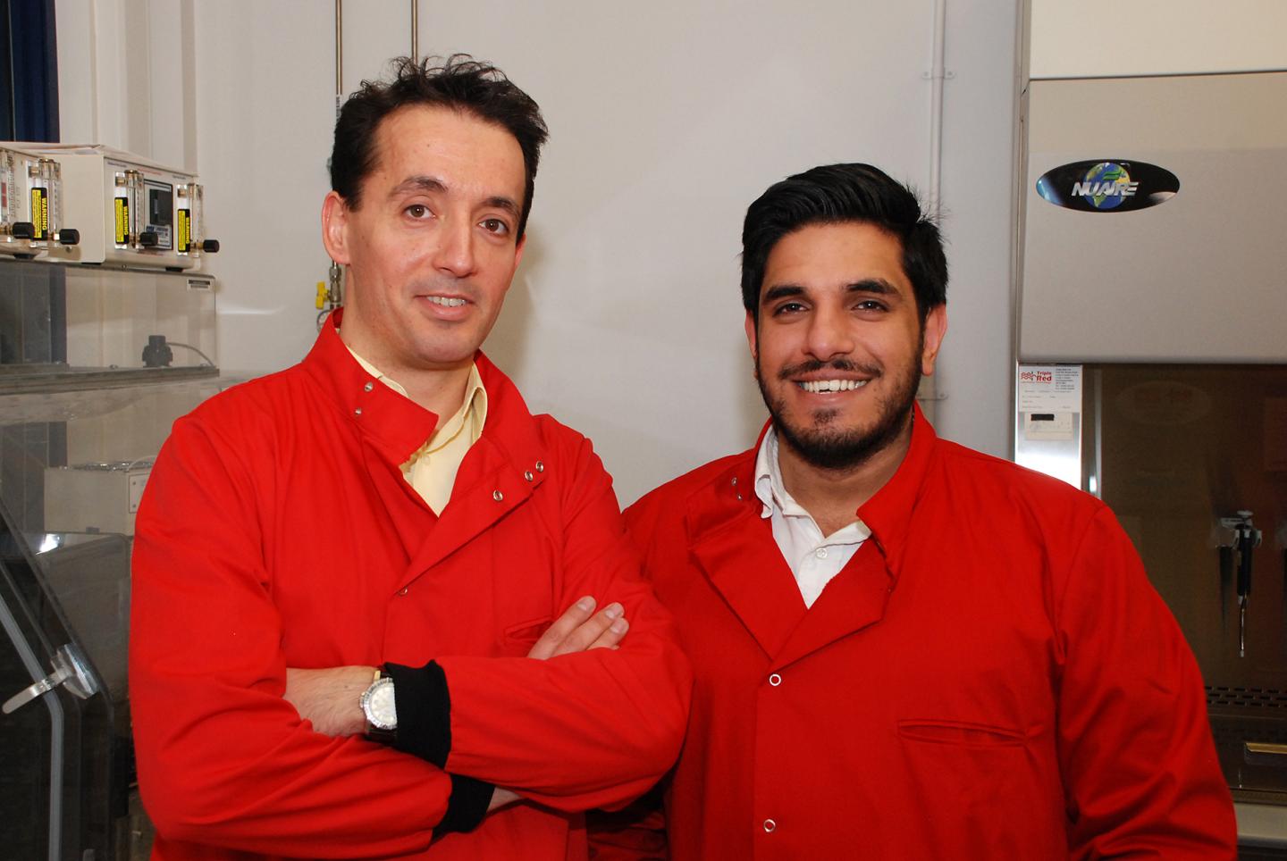 Researchers solve science behind scalp coolin | EurekAlert!