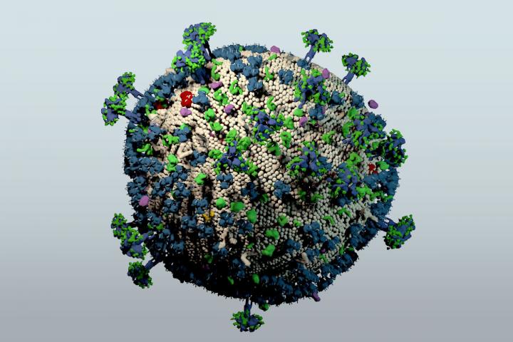 Testing And Antiretroviral Drugs May Cut Hiv Eurekalert