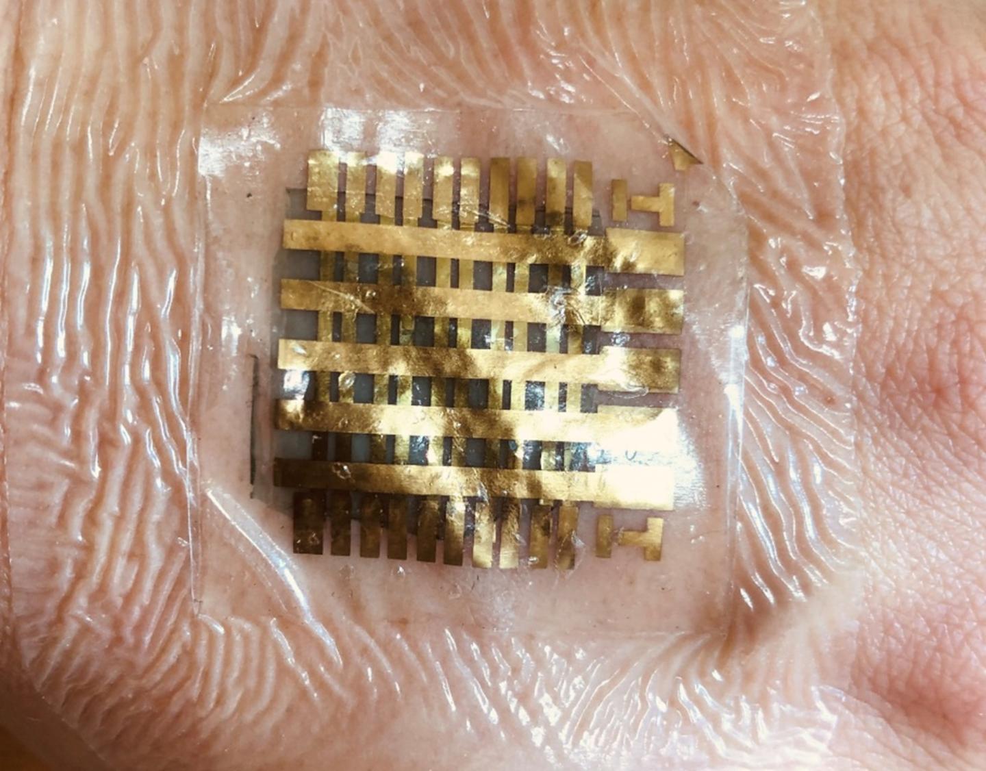 Thin Film Sensor Stretches and [IMAGE] | EurekAlert! Science News Releases