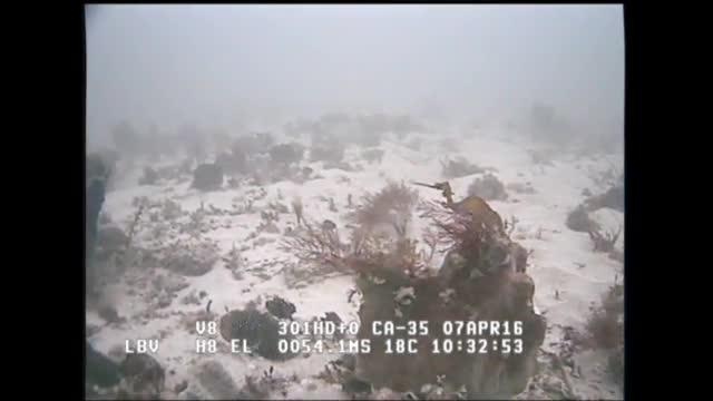 Researchers capture first glimpse of ruby sea | EurekAlert!