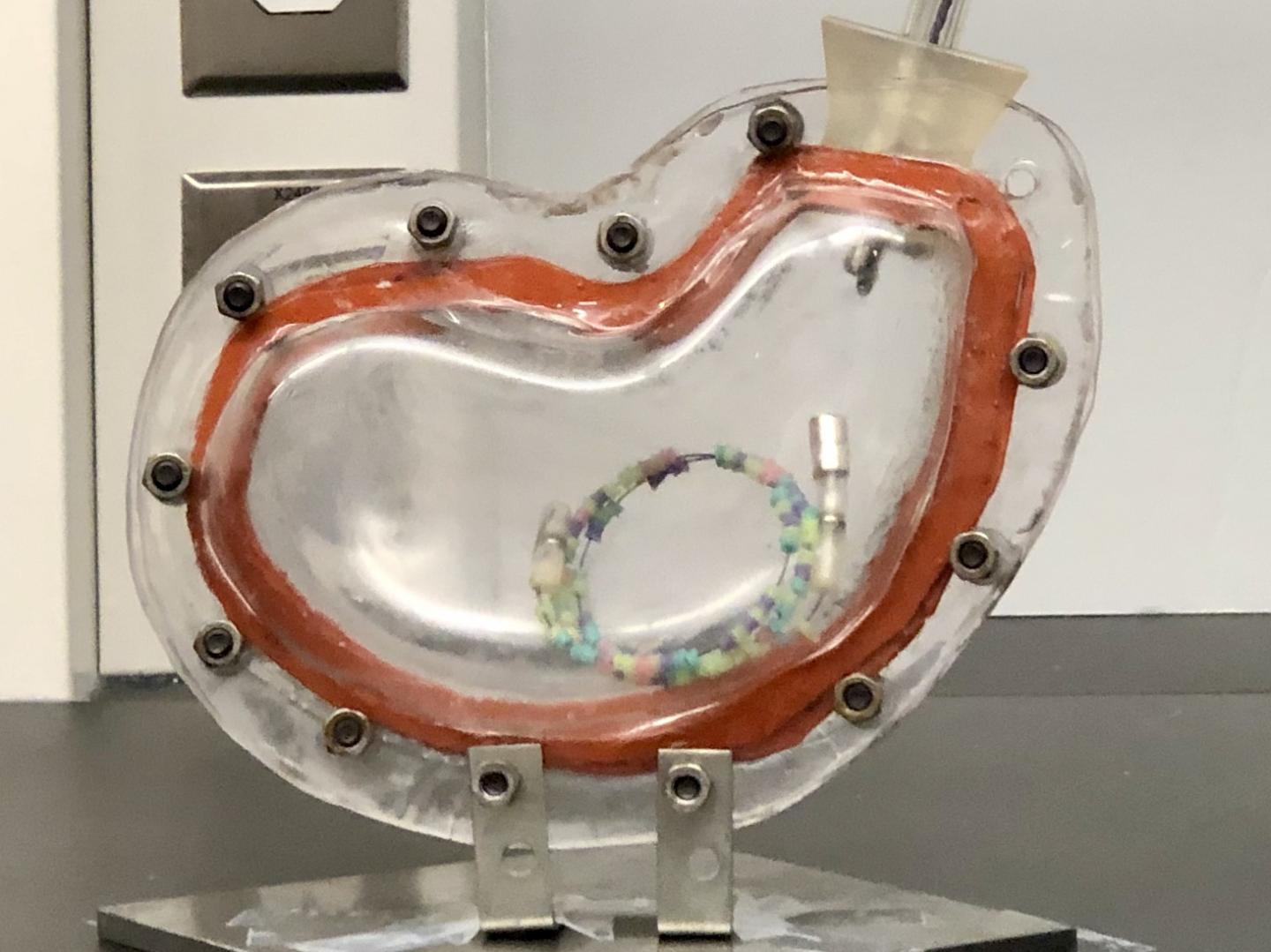 Drug-Delivering Device Streamlines Tuberculos | EurekAlert!