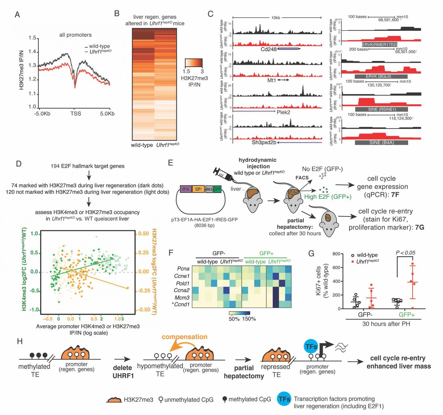 Heatmap [IMAGE] | EurekAlert! Science News Releases