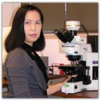 Professor Keiko Torii receives the 2015 Fello | EurekAlert!