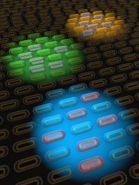 Engineering Living Cells to Remember their Pa | EurekAlert!