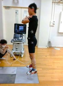 The hidden spring in your step | EurekAlert!