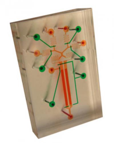 Microfluidic Chip [IMAGE] | EurekAlert! Science News Releases