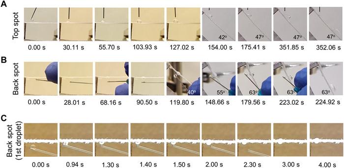 Directional transport property [IMAGE] | EurekAlert! Science News Releases