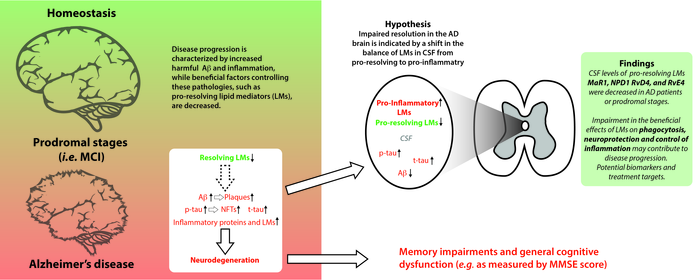 Graphical Abstract [IMAGE] | EurekAlert! Science News Releases