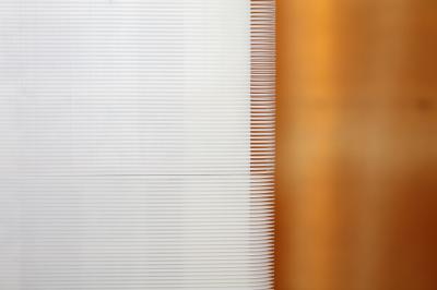 Streamwise-Oriented 'Finlets' [IMAGE] | EurekAlert! Science News Releases