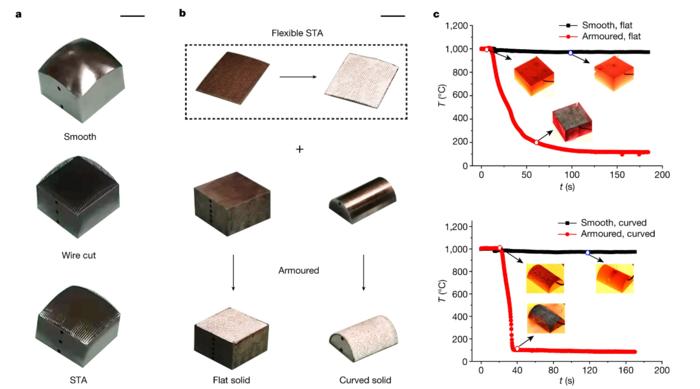 Curved and flexible STA. [IMAGE] | EurekAlert! Science News Releases