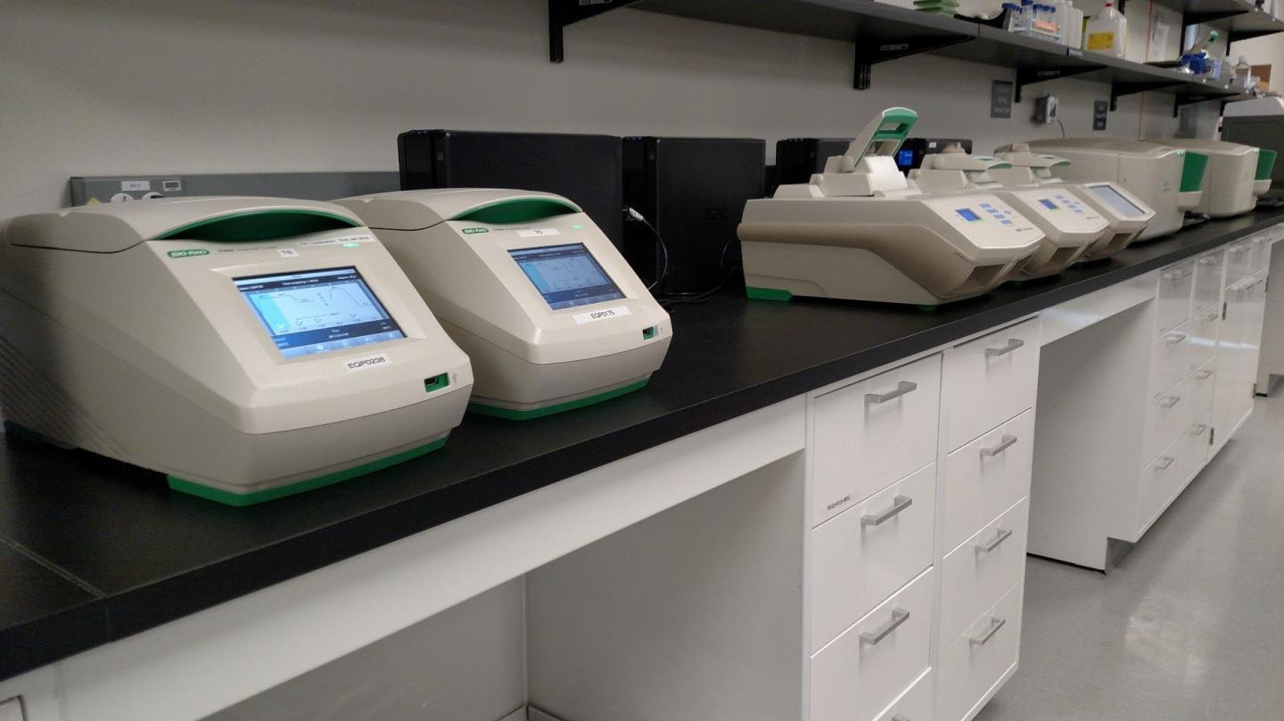 New Blood Test Offers Potentia [IMAGE] | EurekAlert! Science News Releases