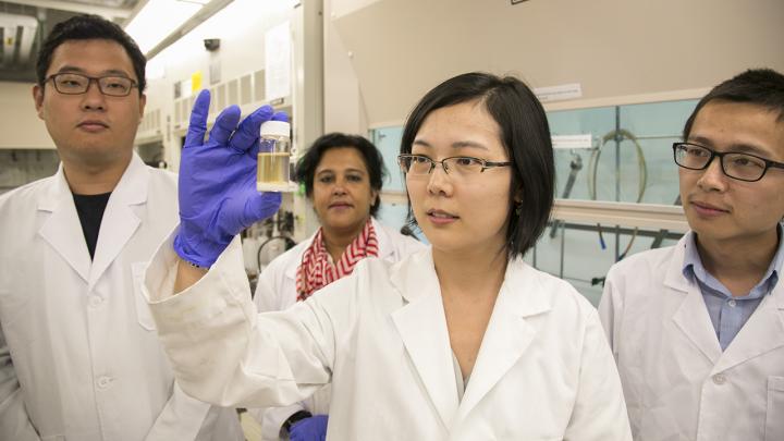 Examining Lab-Developed Molecu [IMAGE] | EurekAlert! Science News Releases