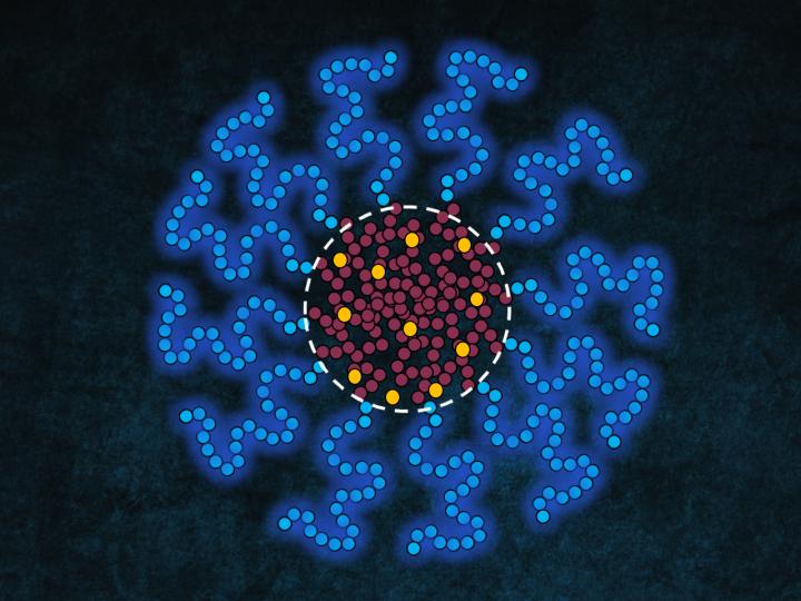 Micelle with Drug [IMAGE] | EurekAlert! Science News Releases