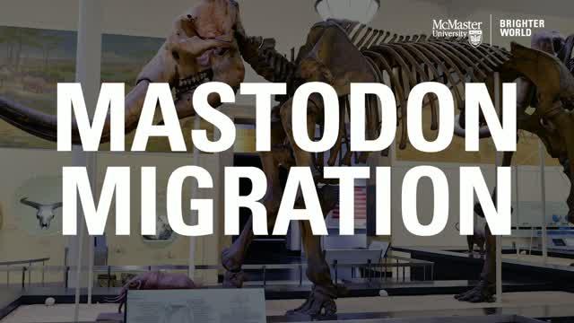 Mastodons traveled vast distances across Nort | EurekAlert!