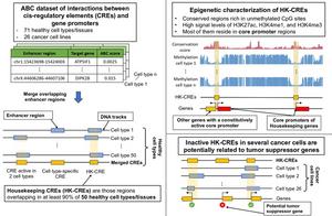 New study reveals crucial 'housekeeping' gene | EurekAlert!