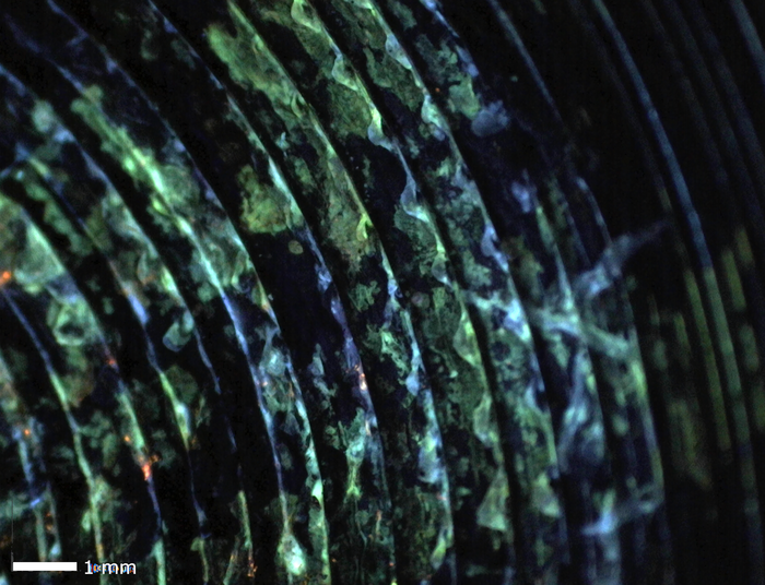 Tracking Explosions with Tough [IMAGE] | EurekAlert! Science News Releases