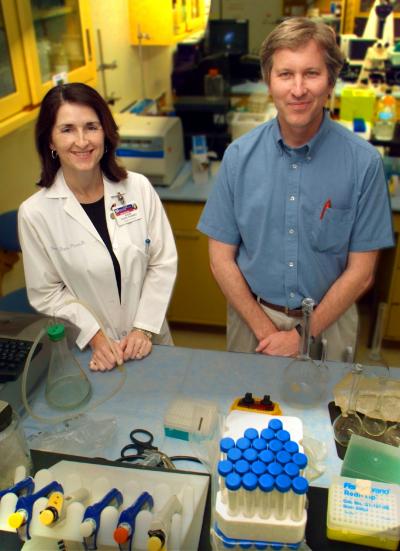 Old antibiotic may find new life as a stroke | EurekAlert!