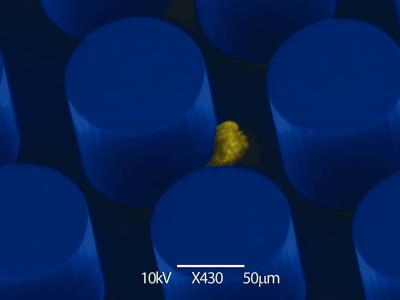 CTC-Chip and Cancer Cell [IMAGE] | EurekAlert! Science News Releases