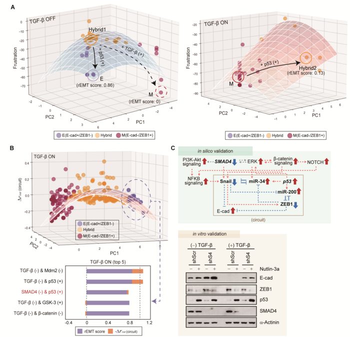 Figure 2 [IMAGE] | EurekAlert! Science News Releases
