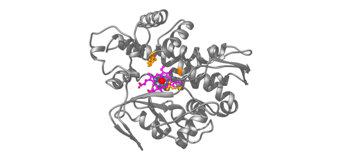 Synthetic biology moves into the realm of the | EurekAlert!