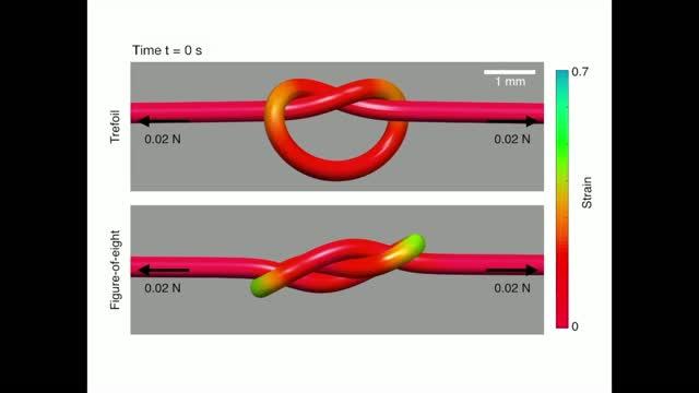 Color-Changing Fiber and Theory Reveal Fundam | EurekAlert!